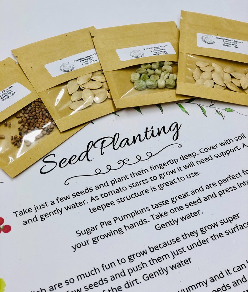 My First Vegetable Garden Kit for Kids Heirloom Seed Kit - Etsy