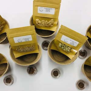 My First Vegetable Garden Kit for Kids, Heirloom Seed Kit, Kids ...