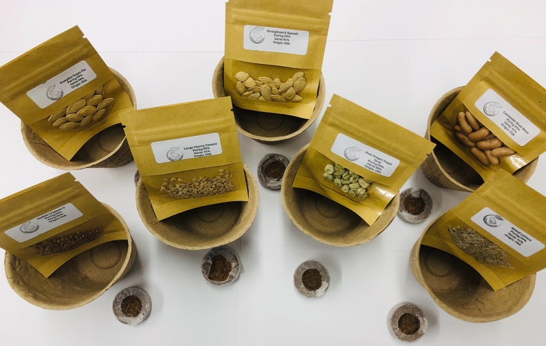 My First Vegetable Garden Kit for Kids Heirloom Seed Kit | Etsy