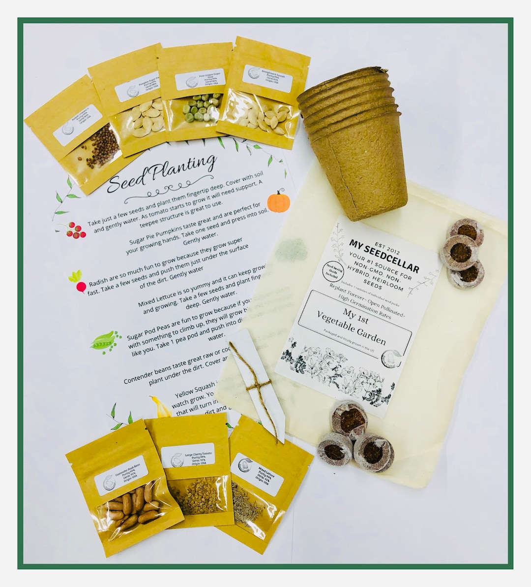 My First Vegetable Garden Kit for Kids, Heirloom Seed Kit, Kids ...