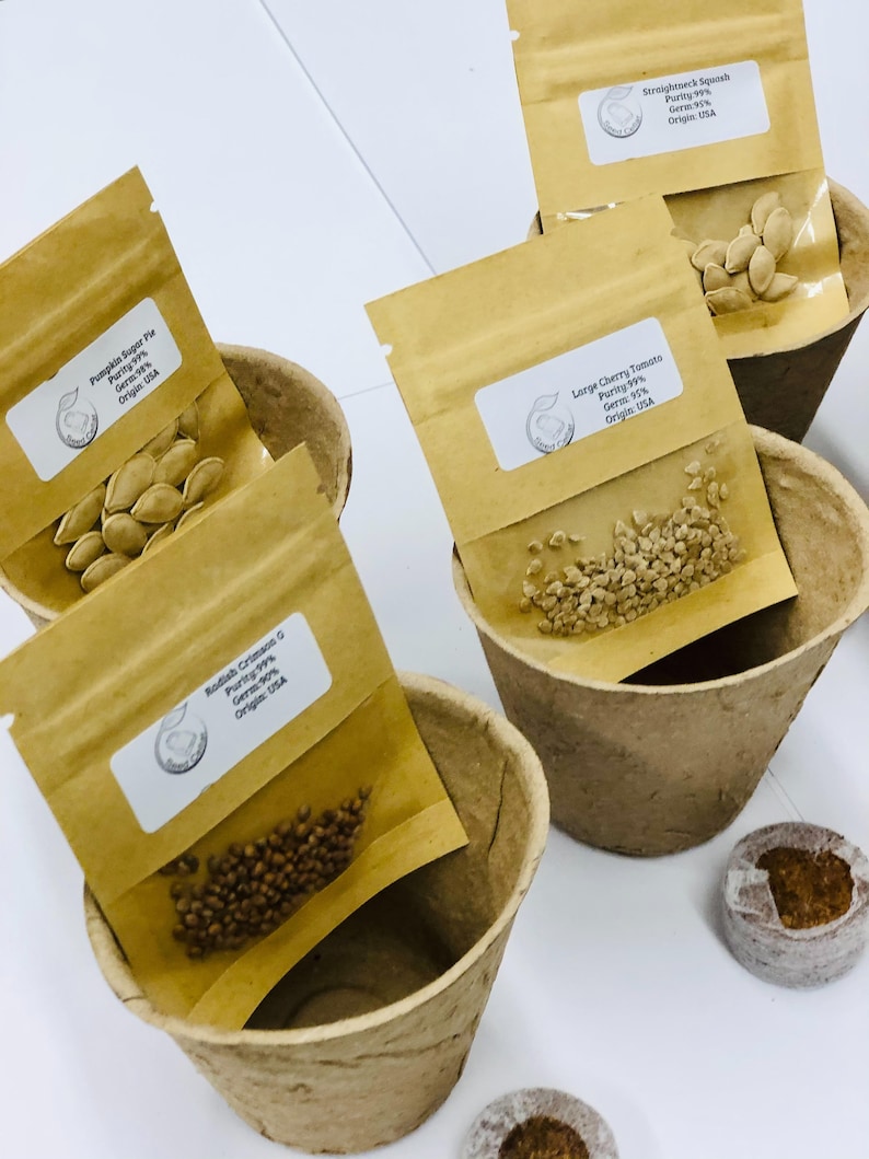 My First Vegetable Garden Kit for Kids Heirloom Seed Kit | Etsy