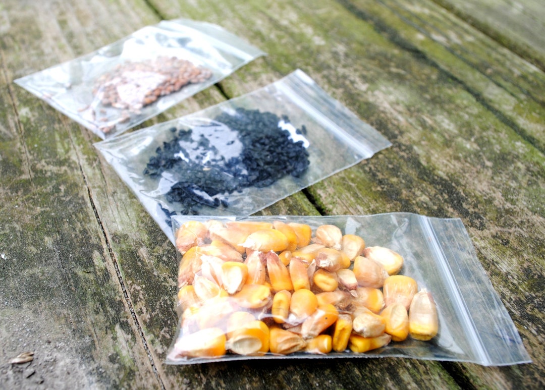 Individual Heirloom Seeds! Many to Choose From-create Your Own Garden ...