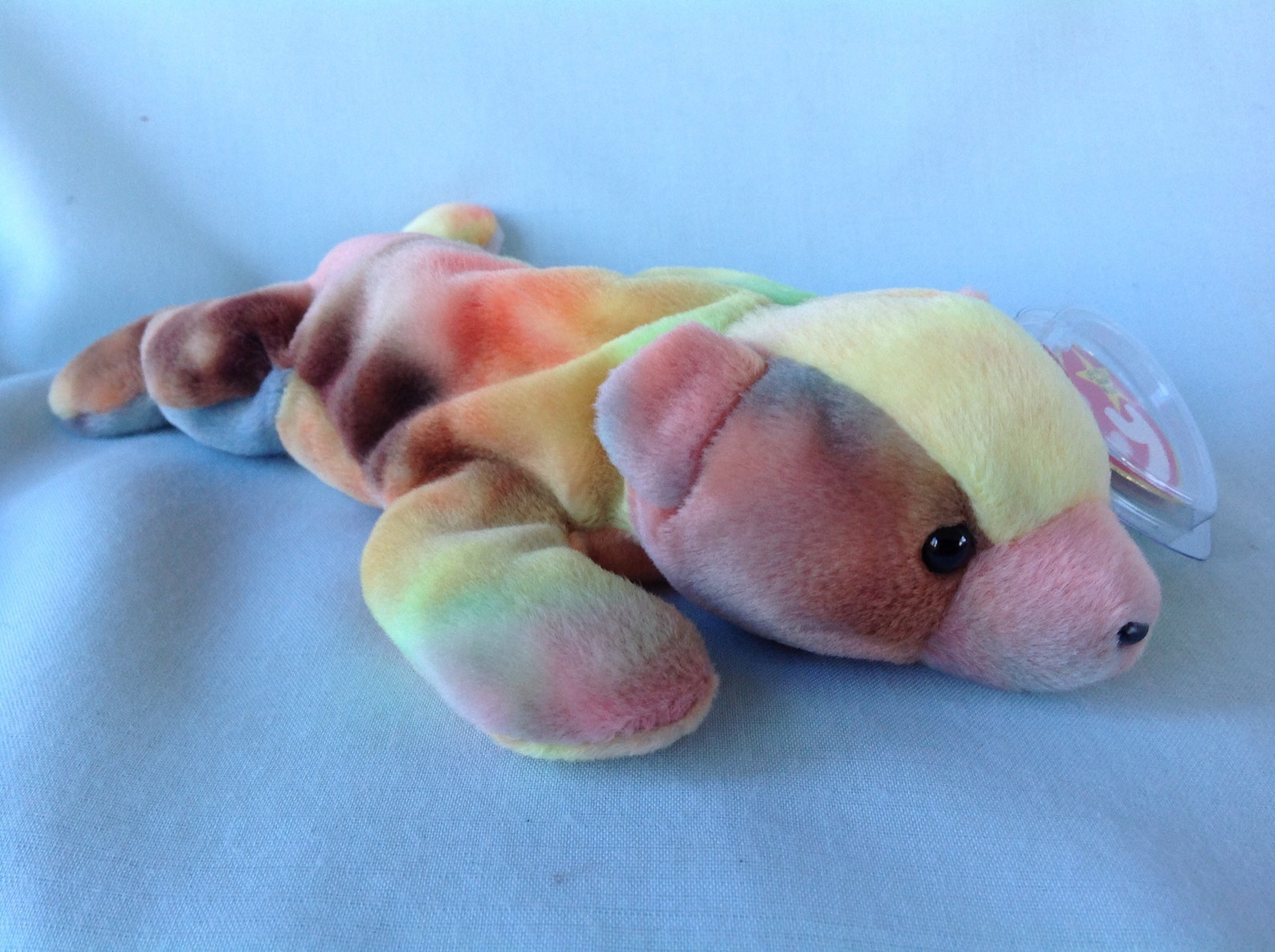 Sammy Beanie Baby Ty Tie-dye Bear Beanie Baby Sammy 1998 | Etsy