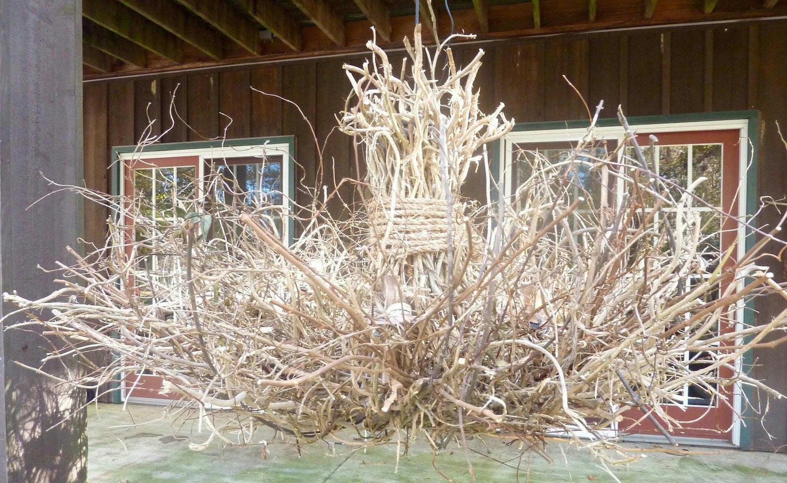 30" Rustic Twig Chandelier, Outdoor Branch Chandelier, Rustic Light ...