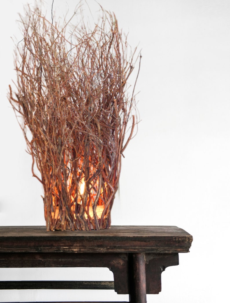 Driftwood Floor Lamp, Tree Branch Table Lamp, Wood Lighting, Wood Lamp ...