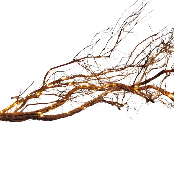 Brown Tree Branches - Etsy