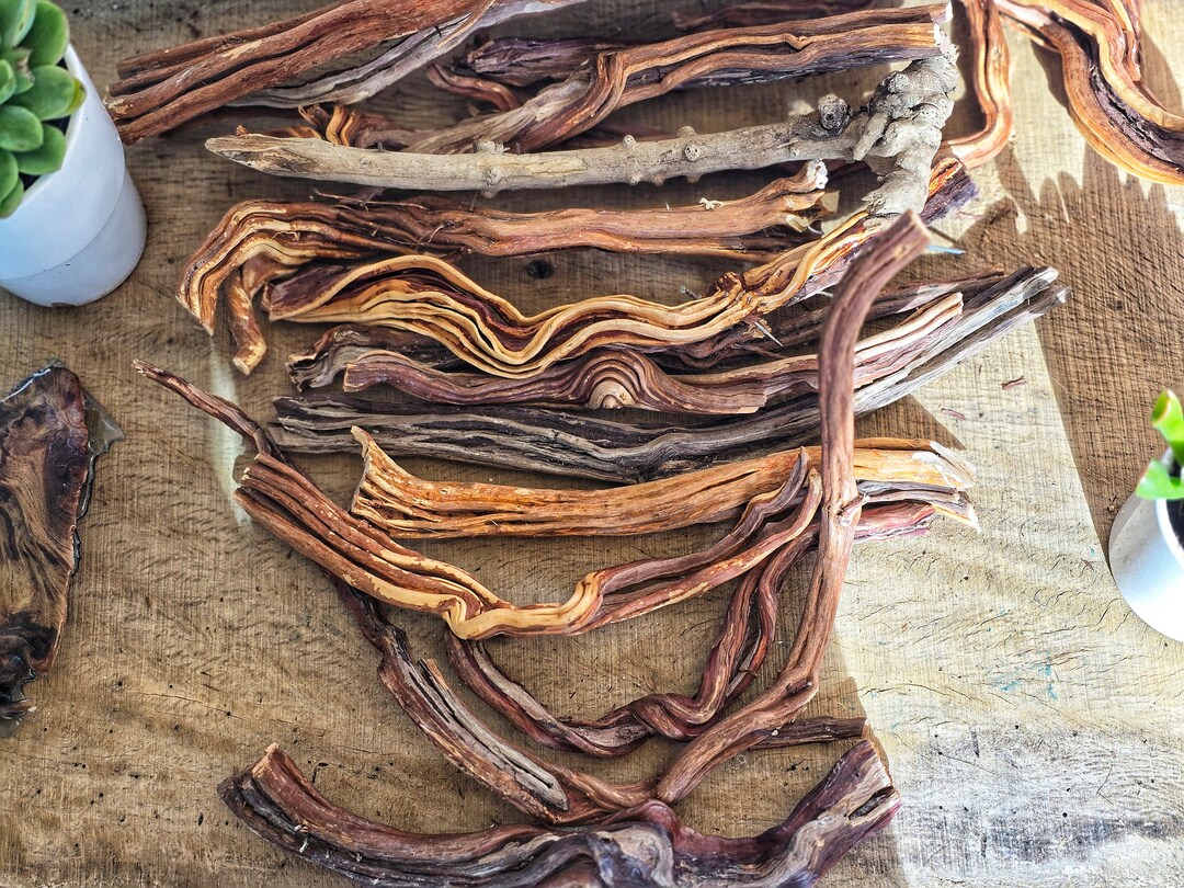 Craft Driftwood Roots 9-12 Long. Natural Wood Vase Filler, Crafting ...