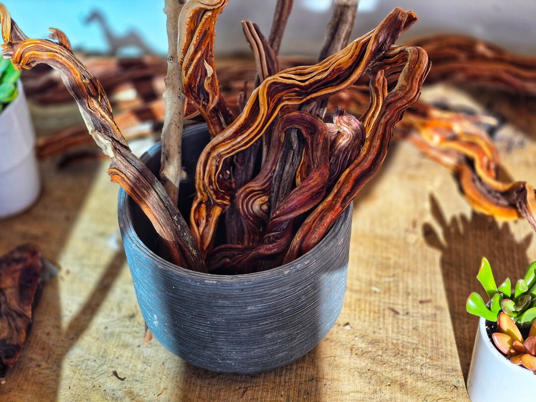 Bundles of Redwood Driftwood Sticks for Arts and Crafts, 5 Sticks, 5 9 ...