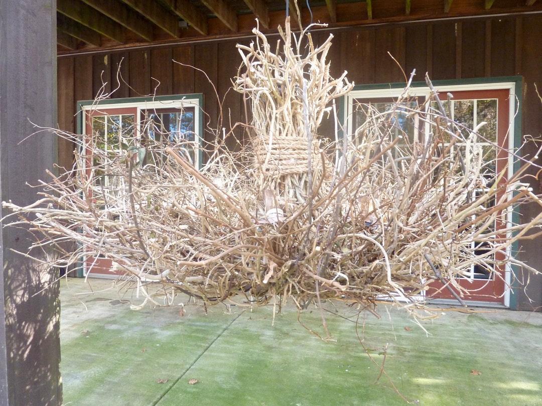 Sold to Ashley Stull - Etsy