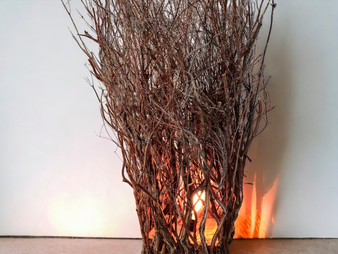 Driftwood Floor Lamp, Tree Branch Table Lamp, Wood Lighting, Wood Lamp ...