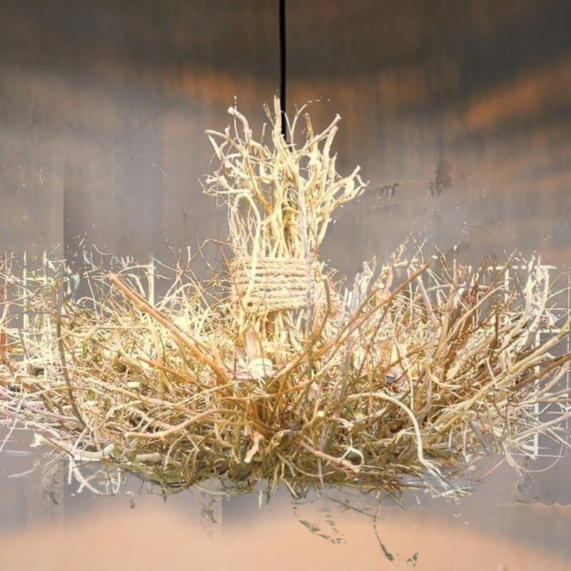 Tree Root Chandelier - Etsy