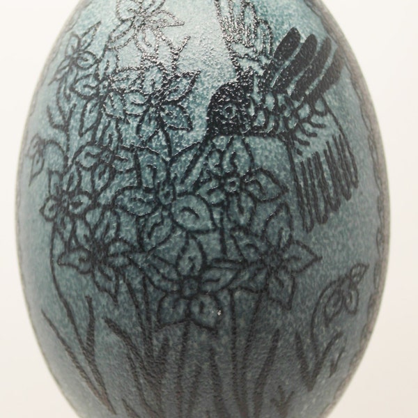 Emu Egg - Etsy