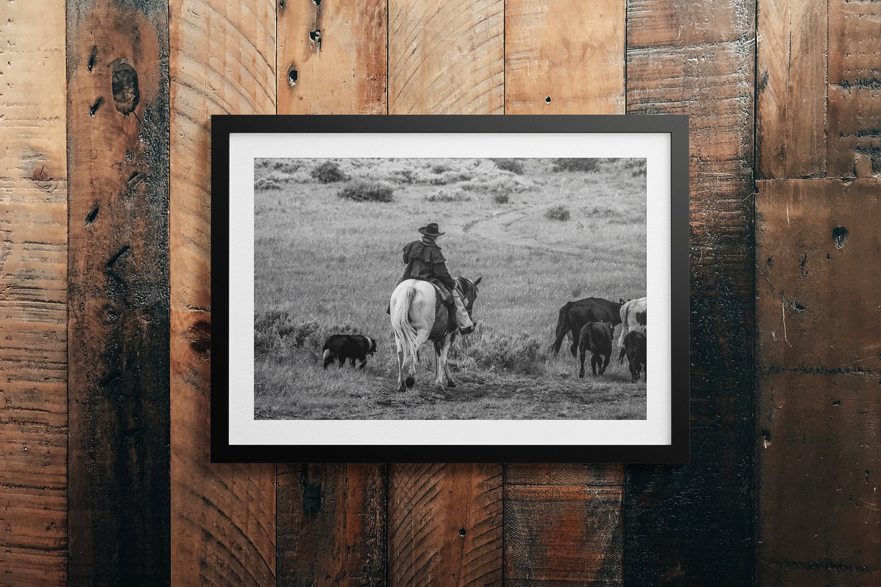 Cattle Drive, Cowboy Western, Montana Cowboy, Cowboy and Cowdog ...