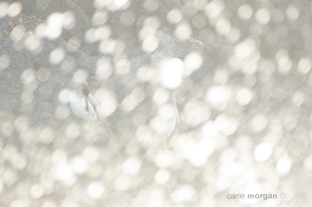 White Abstract Photography, Abstract Water Fine Art Print, Bright ...