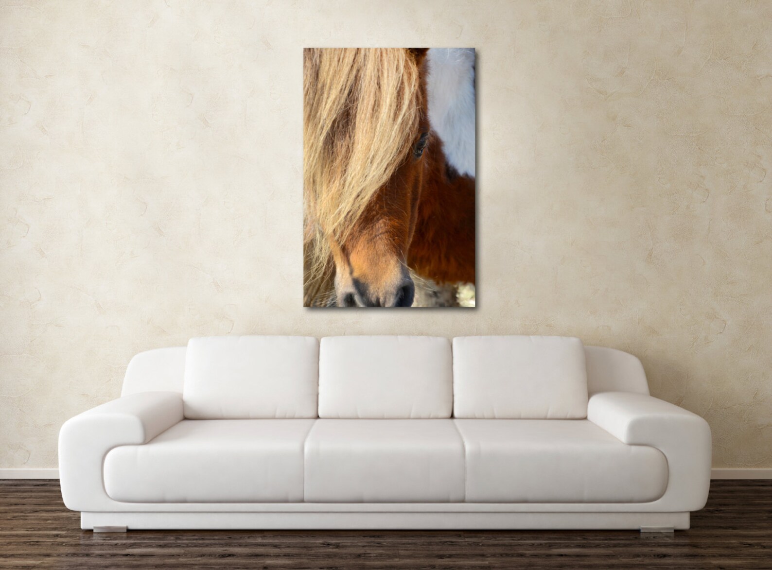 Horse Photography, Brown Paint Miniature Horse Photo, Western Home ...