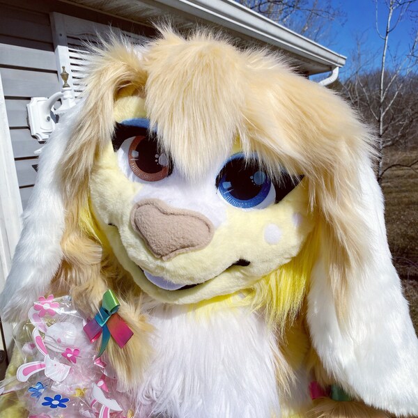 Shop Furry Costume - Etsy