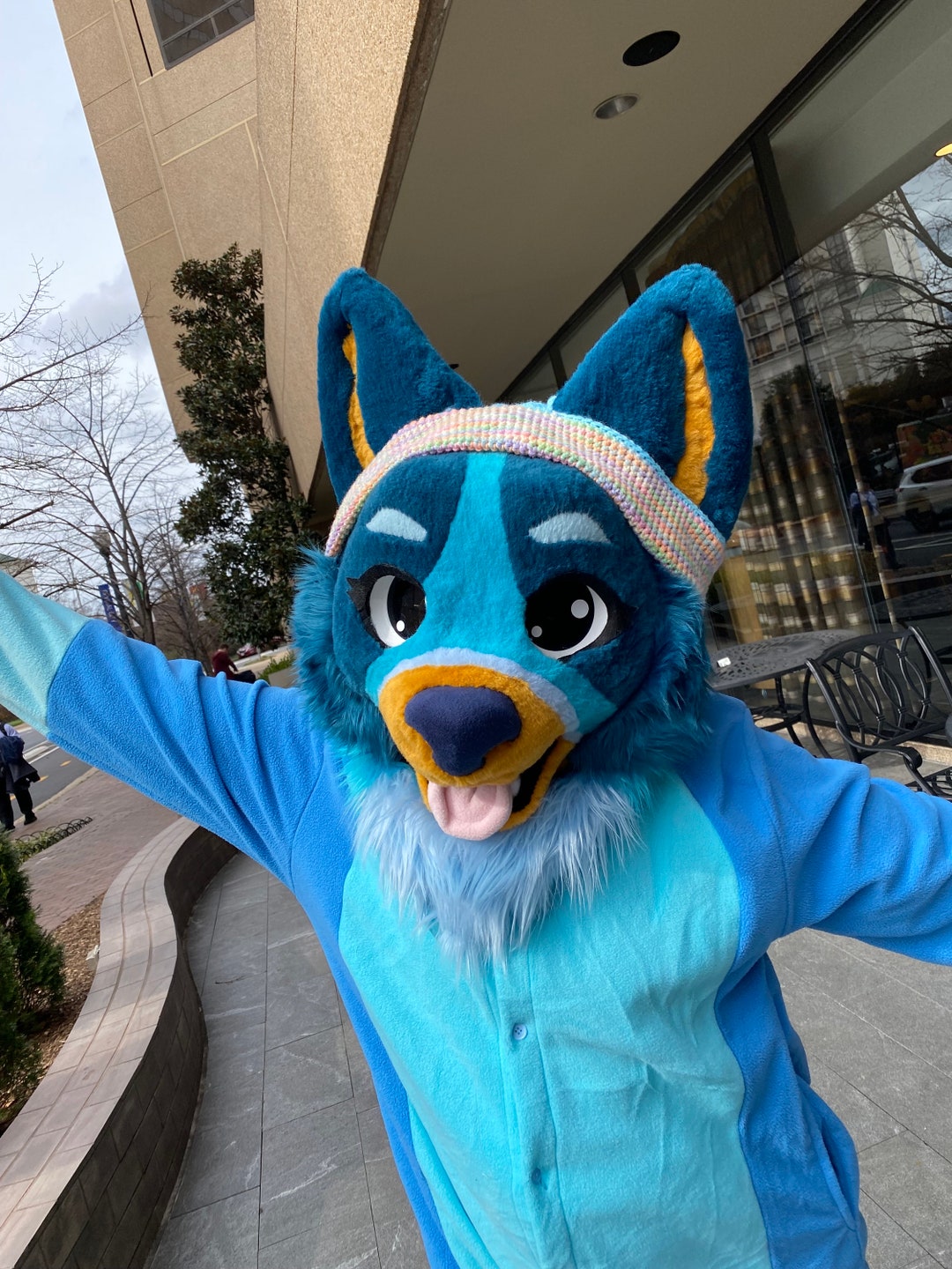 Bluey Inspired Kidcore Mascot Costume Fursuit Partial Custom Blue ...