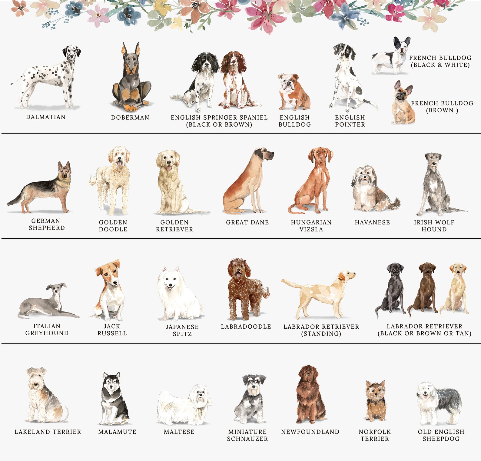 Personalized Dog Stationary A Note From Custom Notecard - Etsy