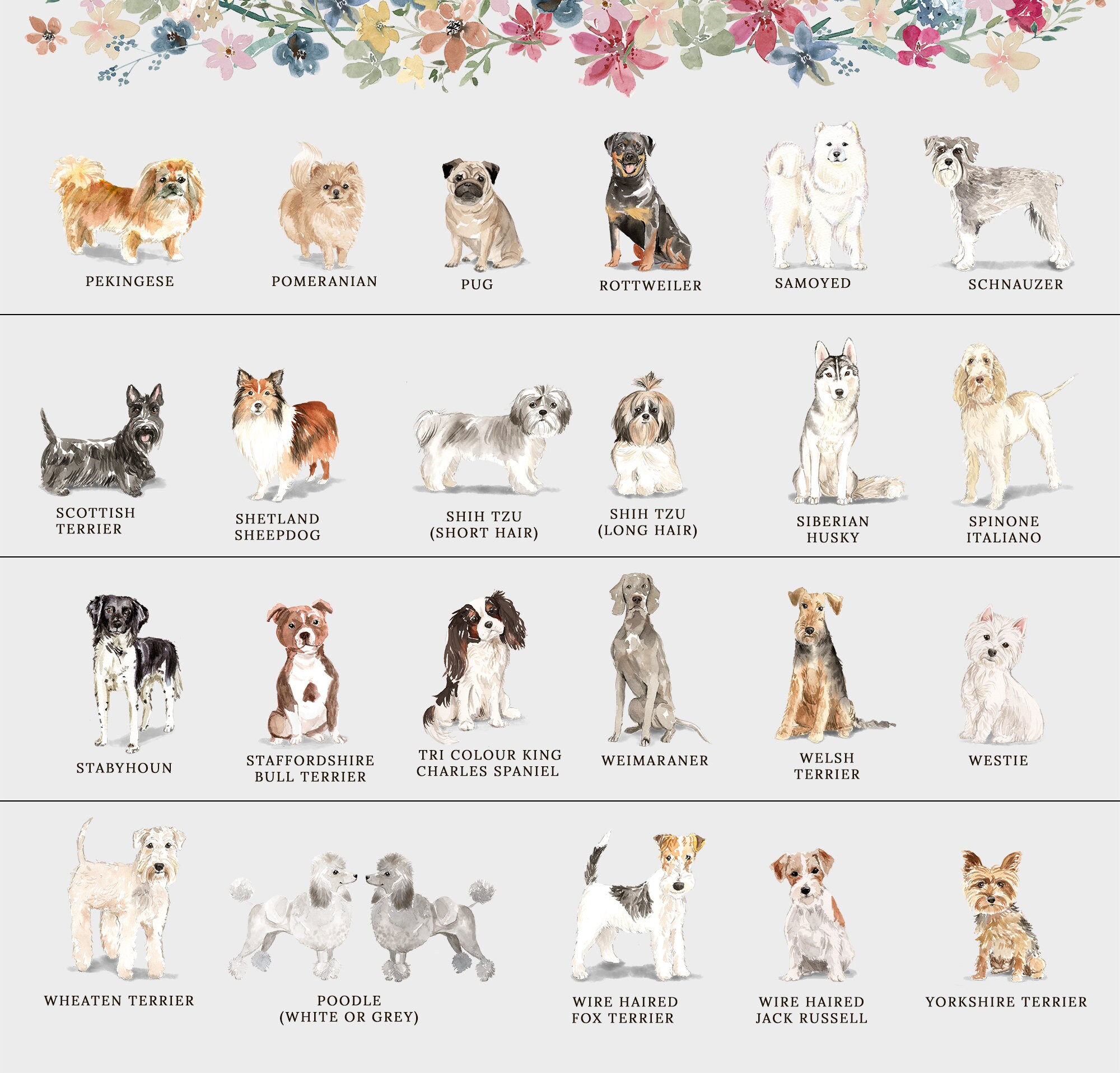 Personalized Dog Stationary A Note From Custom Notecard | Etsy