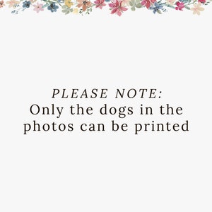 Personalized Dog Stationary, A Note From Custom Notecard Stationary ...