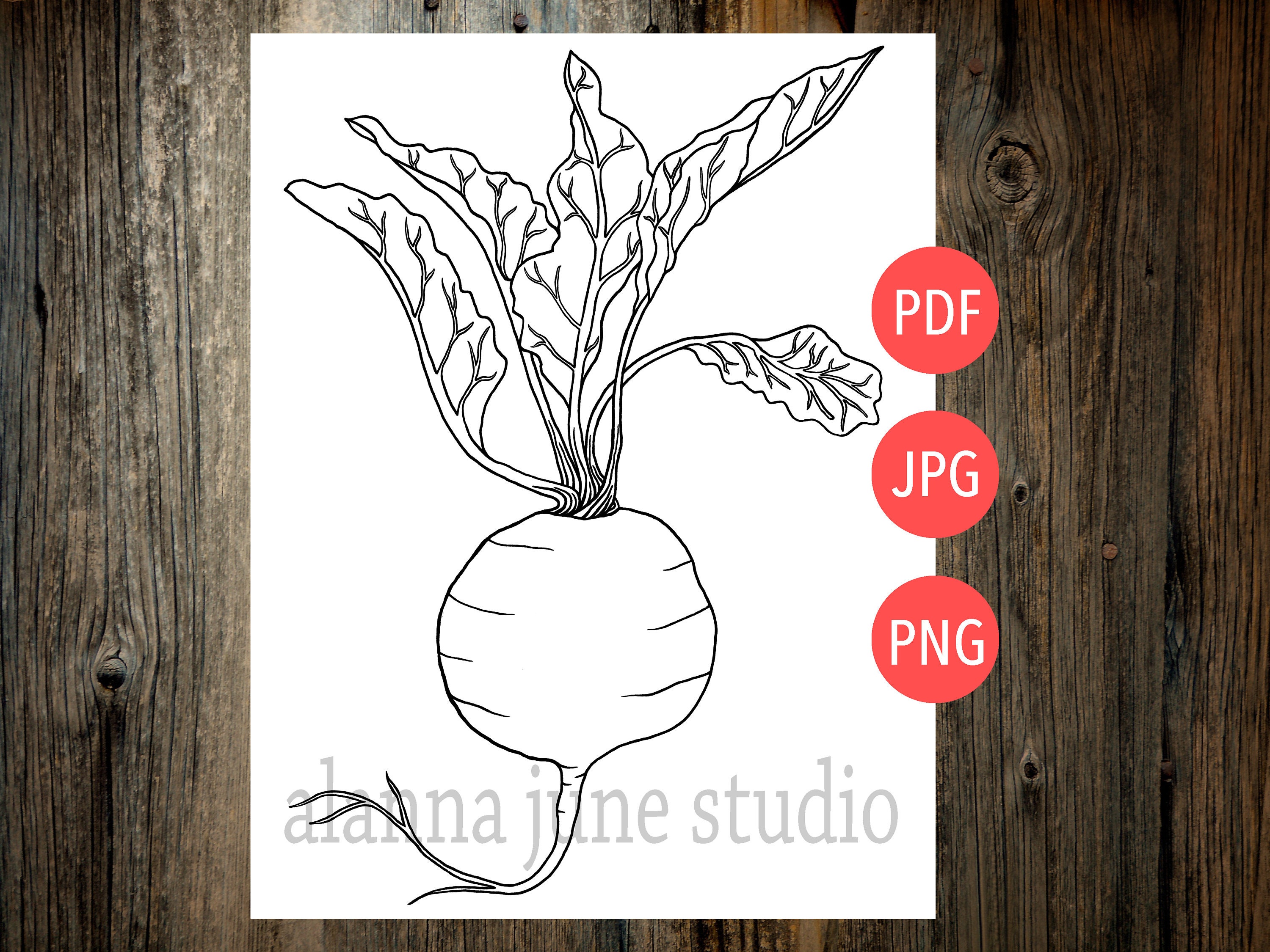 Beet Coloring Page - Etsy