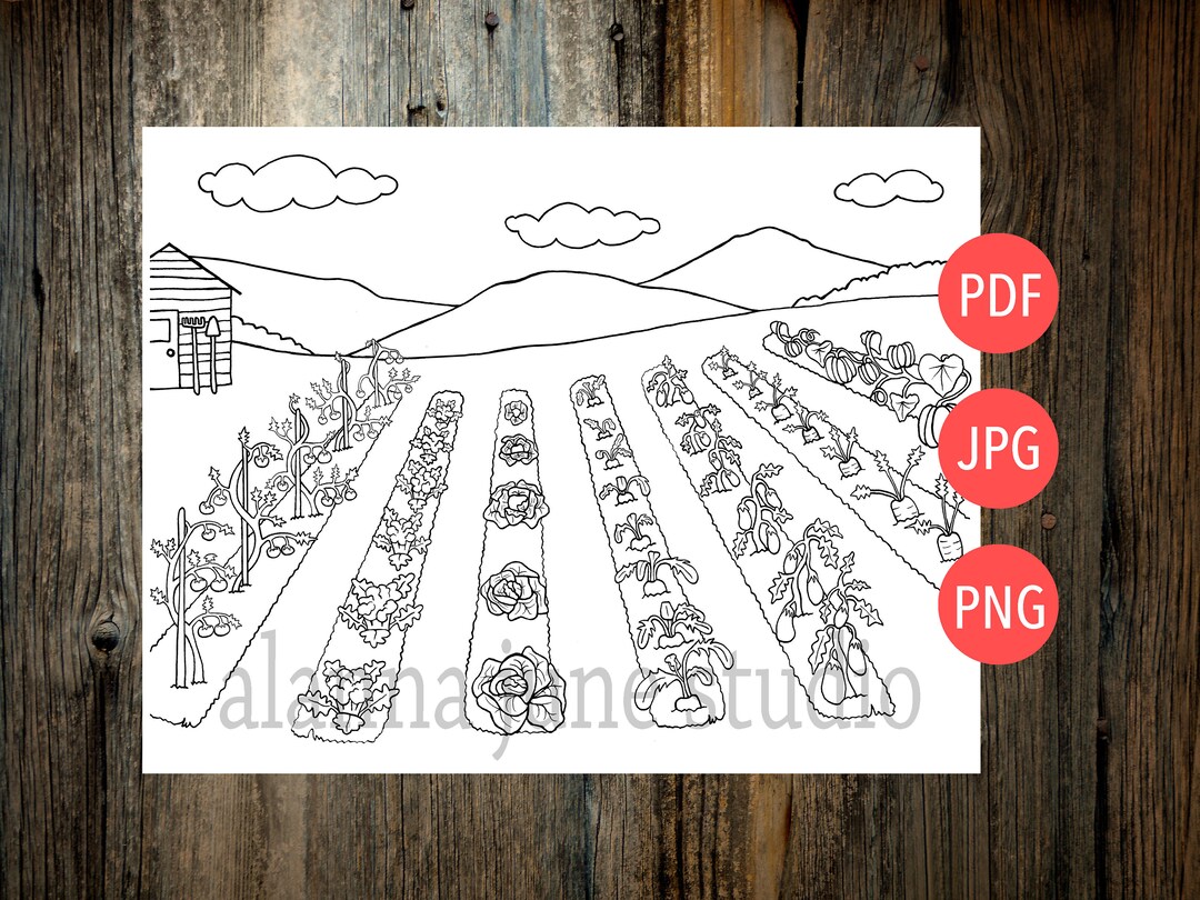 Vegetable Garden Coloring Page - Etsy