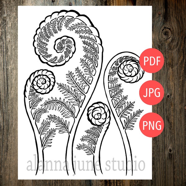 Fiddlehead - Etsy