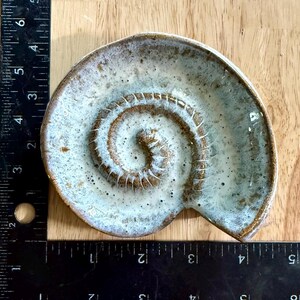 Handmade Ceramic Nautilus Shell Plate | Coastal Wall Decor or Serving ...