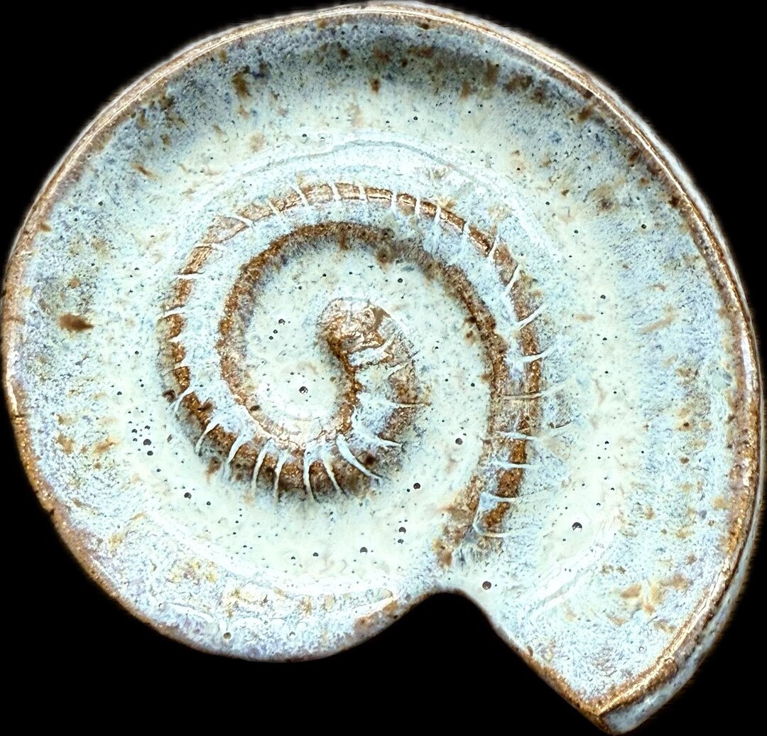 Handmade Ceramic Nautilus Shell Plate | Coastal Wall Decor or Serving ...