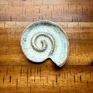 Handmade Ceramic Nautilus Shell Plate | Coastal Wall Decor or Serving ...
