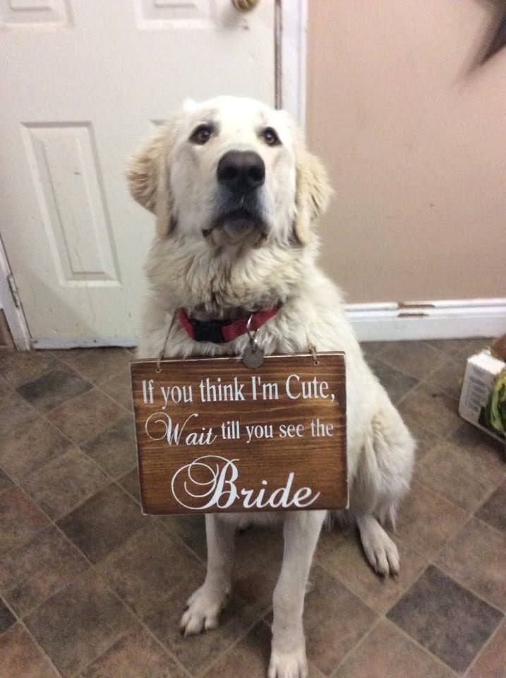 Wedding Signs If You Think Im Cute Wait Till You See Etsy