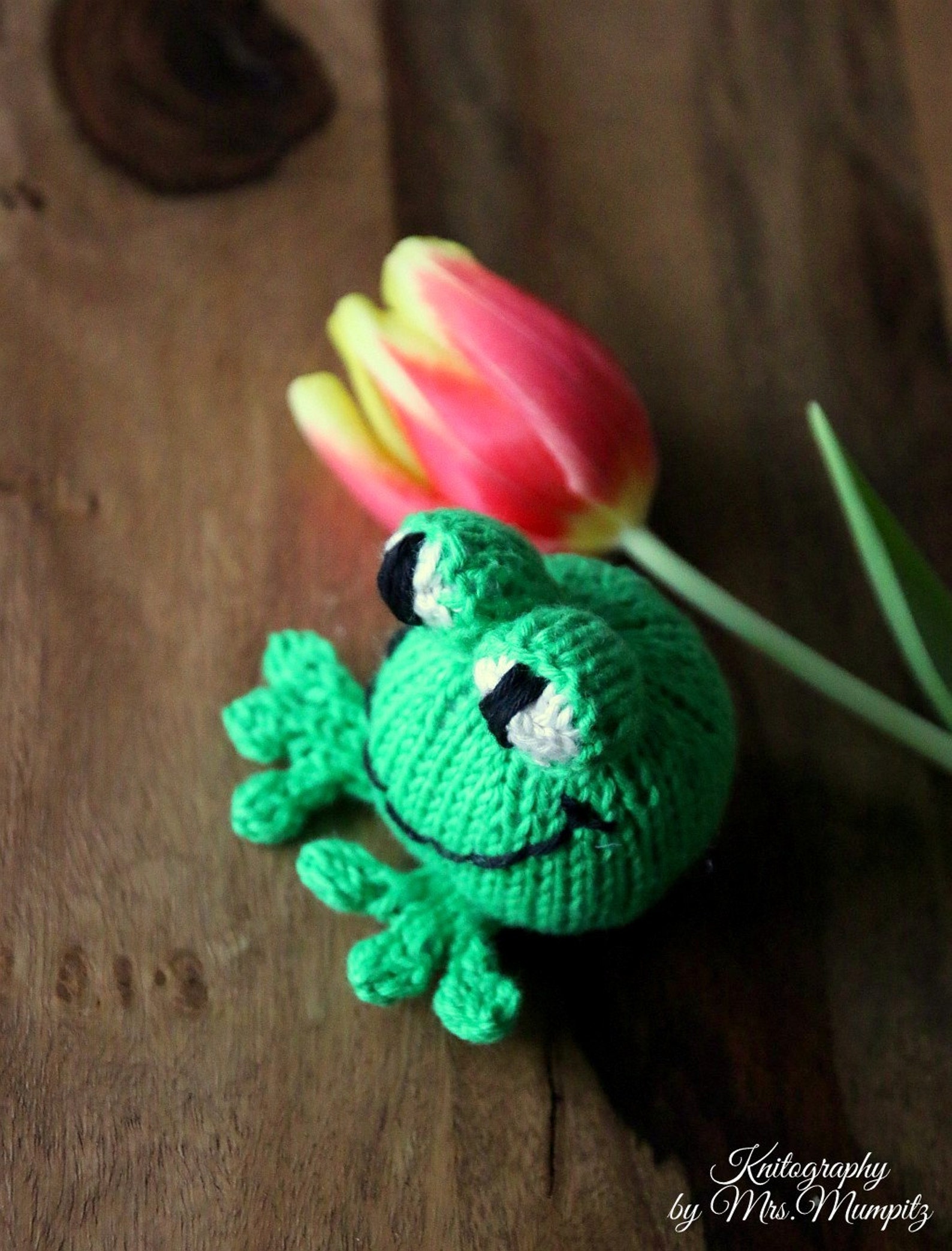 Frog Knitting Pattern for Beginners and Advanced Knitters - Etsy