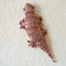 Gecko Knitting Pattern PDF Instant Download, Lizard Knitting Tutorial ...