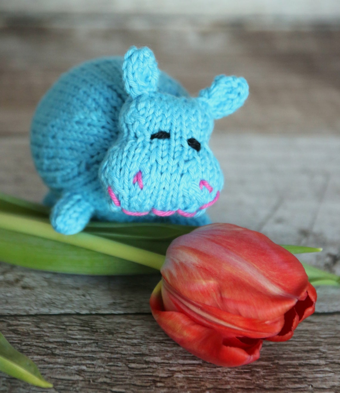 Hippo Knitting Pattern for Beginners and Advanced Knitters | Etsy