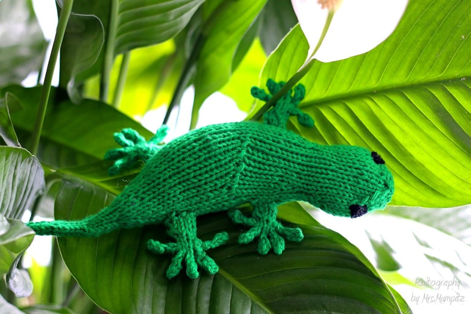 Gecko Knitting Pattern PDF Instant Download Lizard Knitting - Etsy Sweden