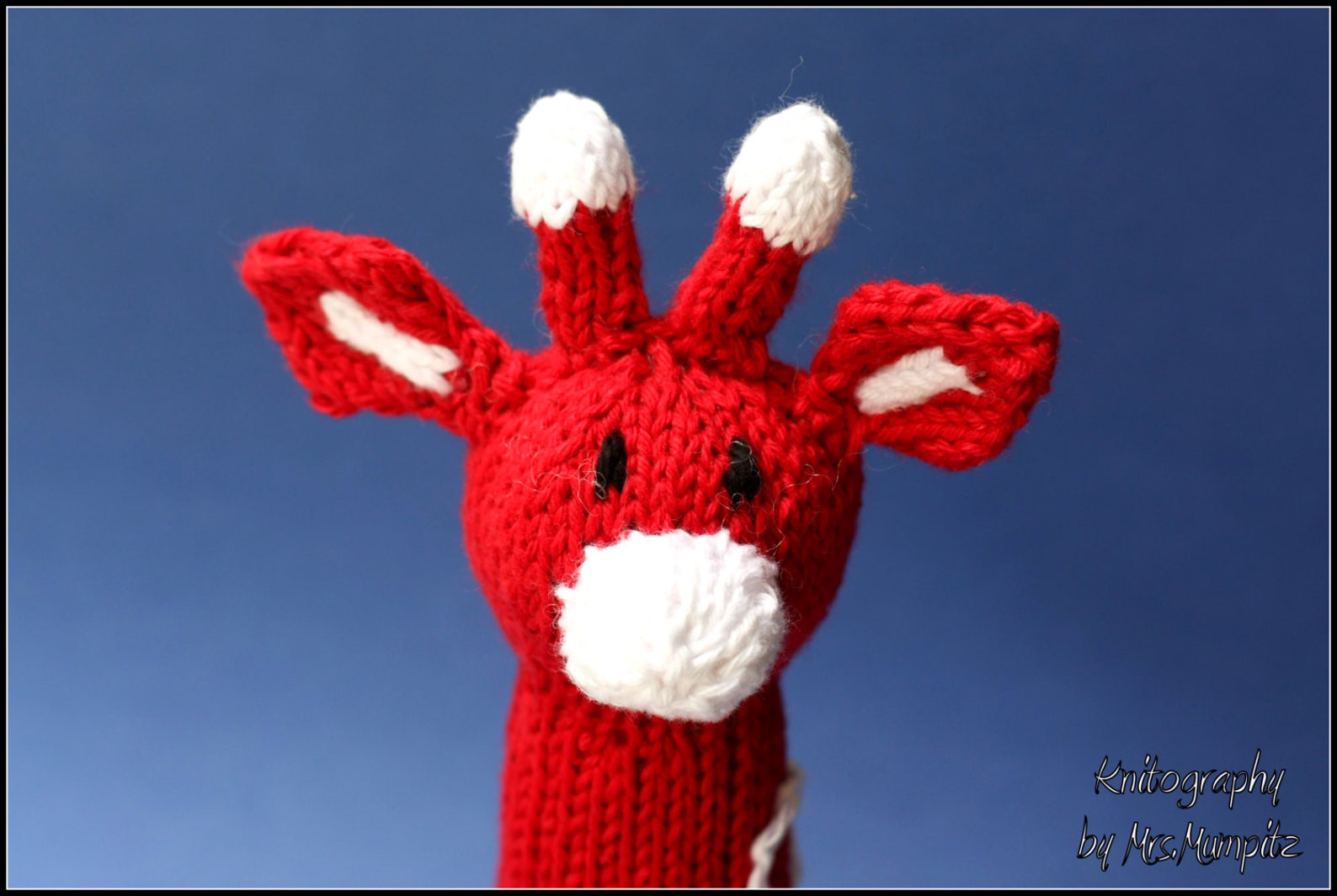 Giraffe Knitting Pattern for Beginners and Advanced Knitting - Etsy Sweden
