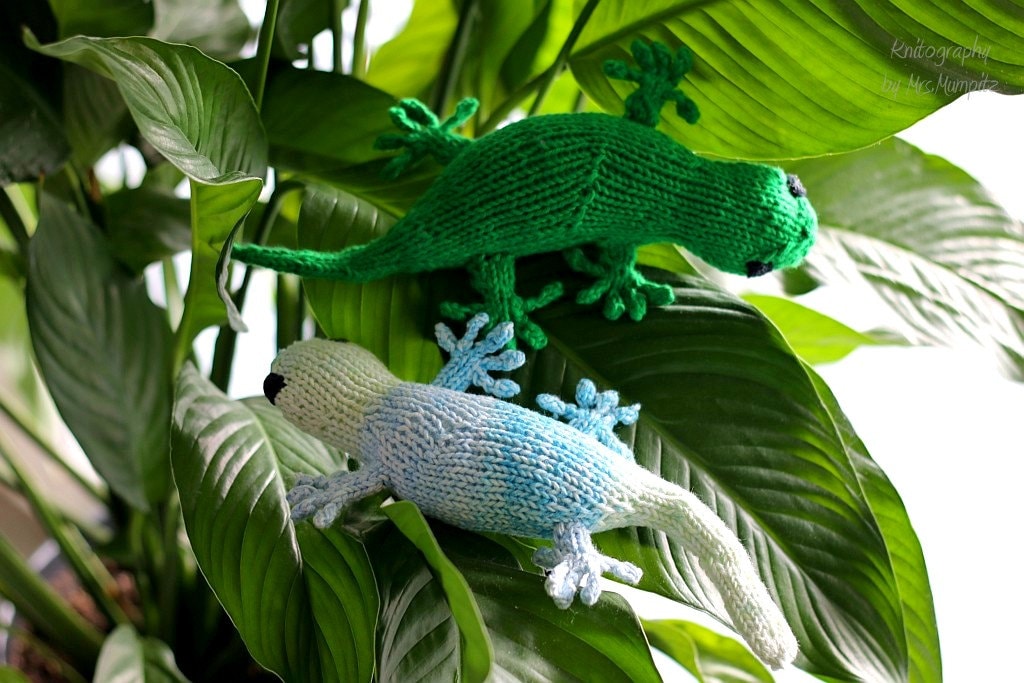 Gecko Knitting Pattern PDF Instant Download Lizard Knitting - Etsy