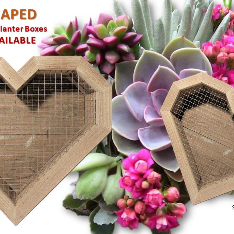 Valentine Planter - Etsy