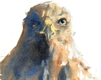 Hawk painting | Etsy