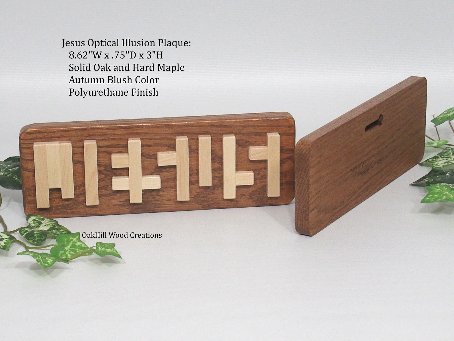 Jesus Optical Illusion Jesus Wall Plaque Jesus Name Sign - Etsy