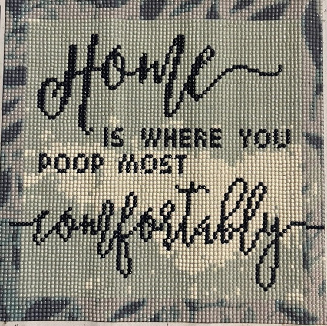 Finished Home is Where You Poop Diamond Art - Etsy
