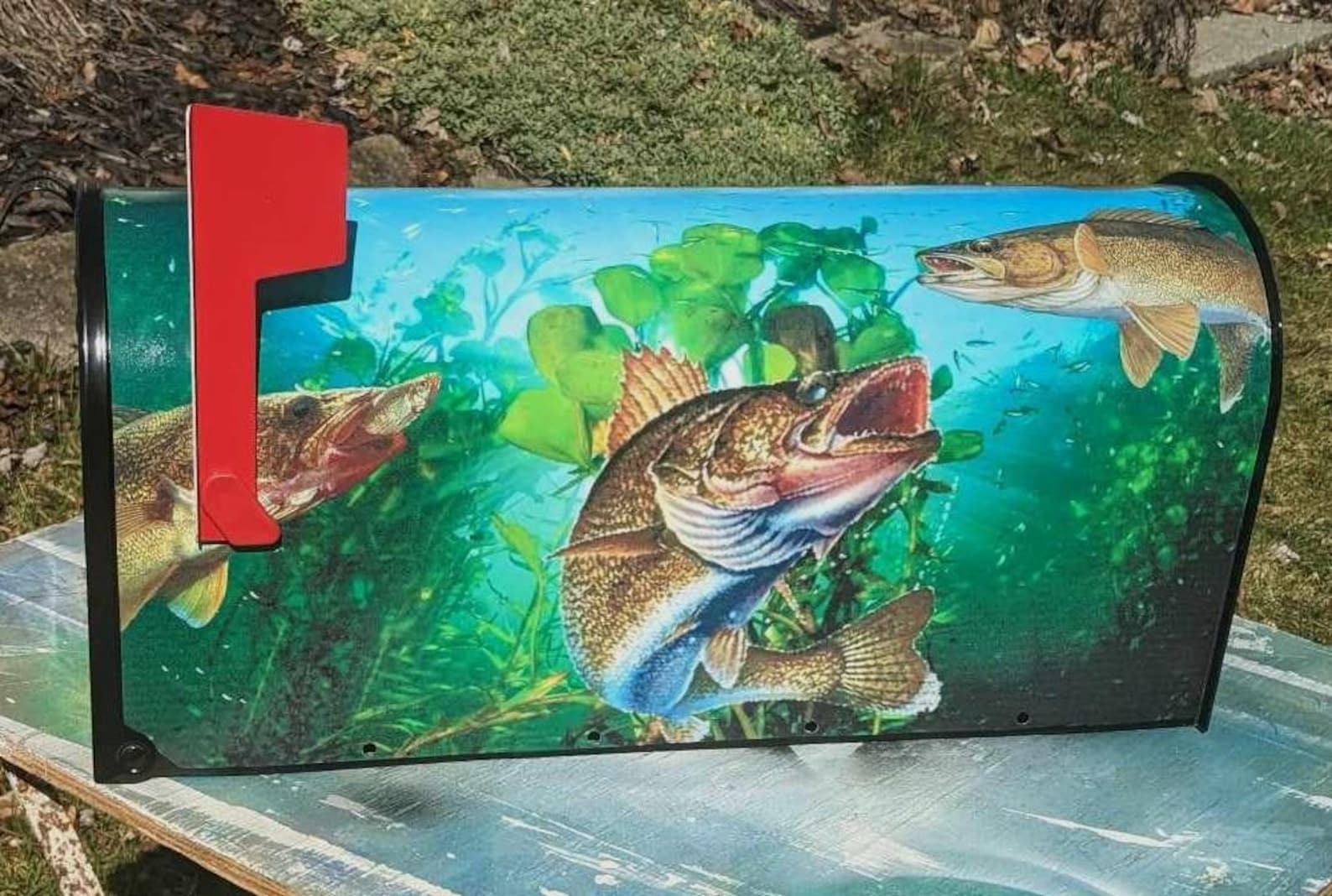 Walleye Mailbox: Eye-catching Home Decor - Etsy