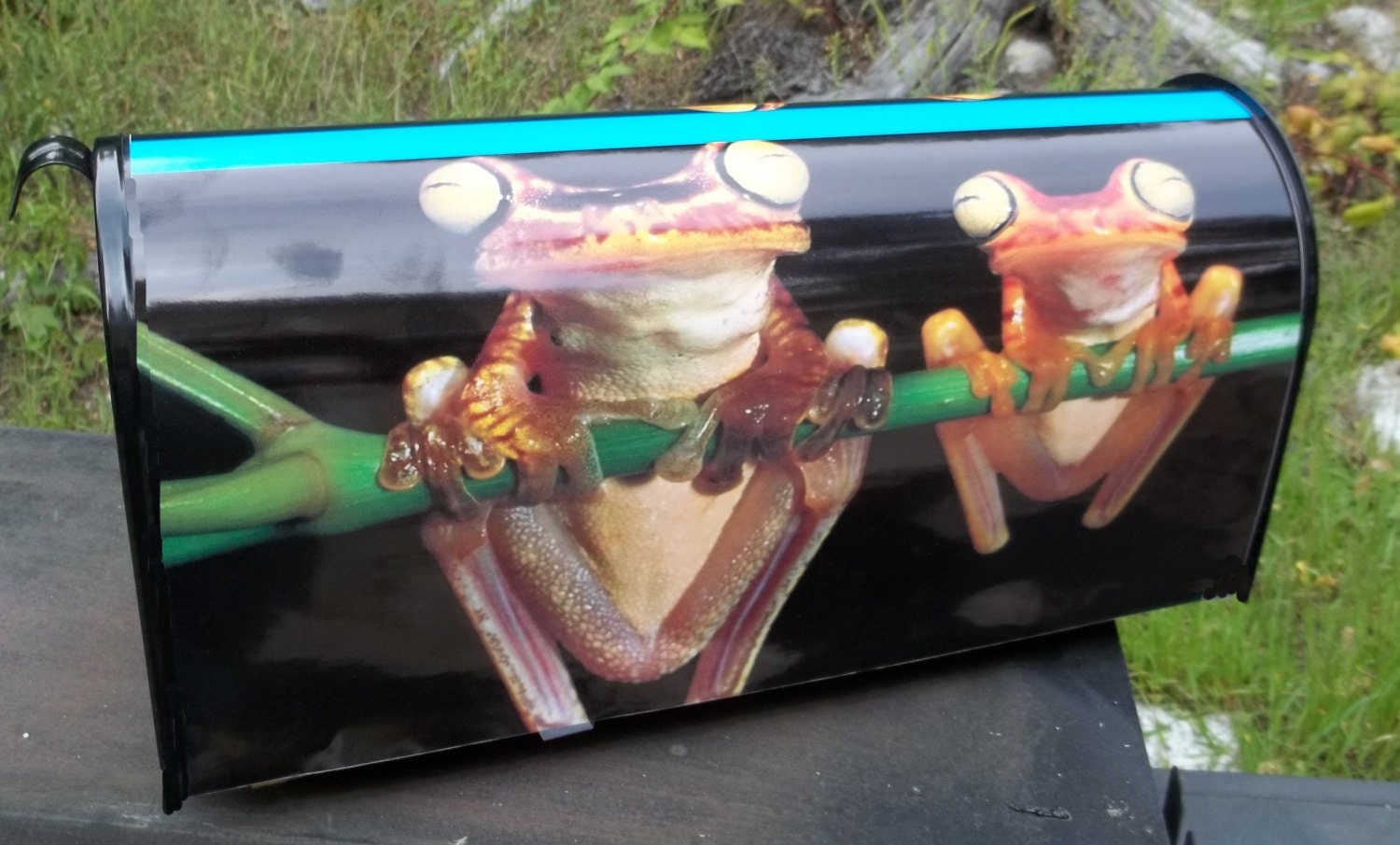 Frogs-mailbox - Etsy