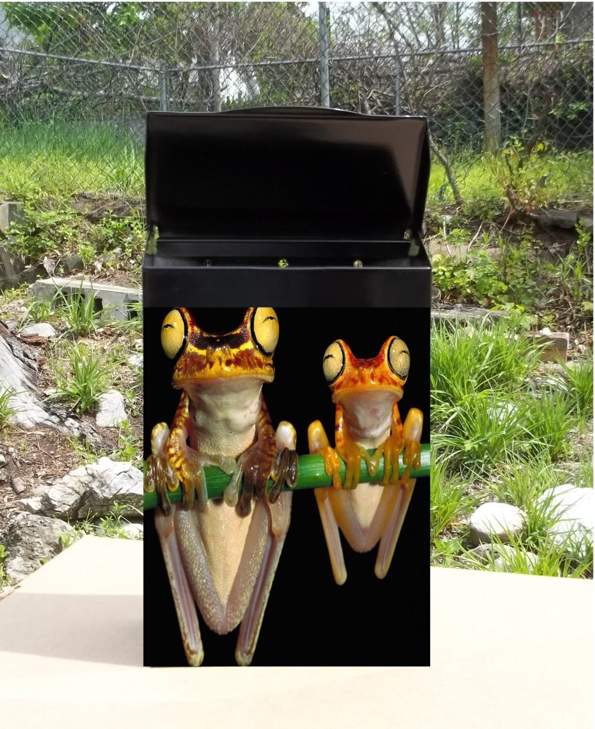 Frogs Wall Mounted Mailbox - Etsy