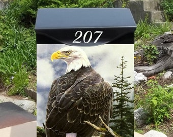Eagle-flag-god Bless America Mailbox - Etsy