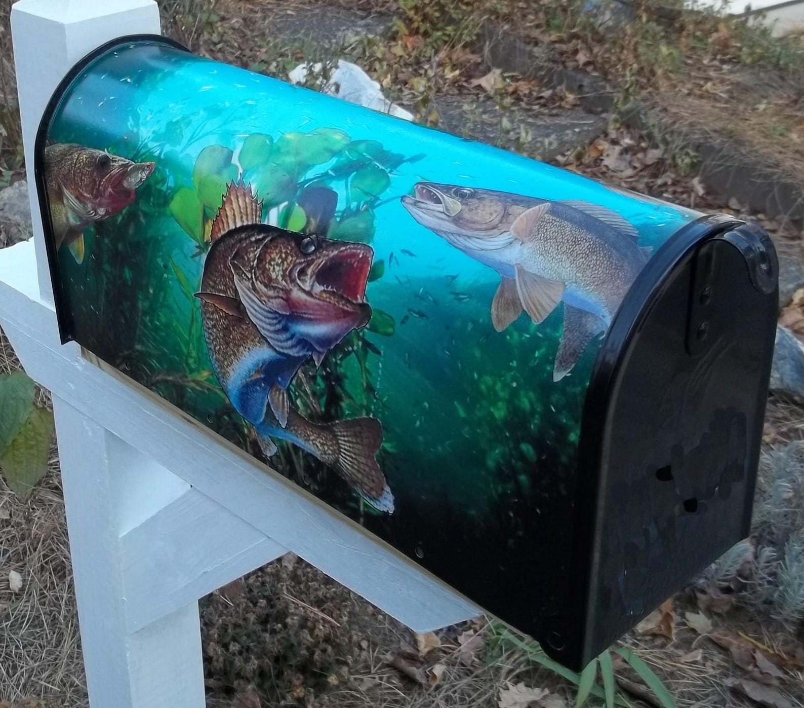 Walleye Mailbox: Eye-catching Home Decor - Etsy