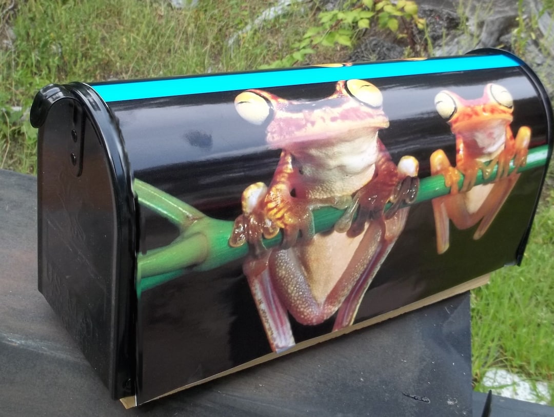Frogs-mailbox - Etsy