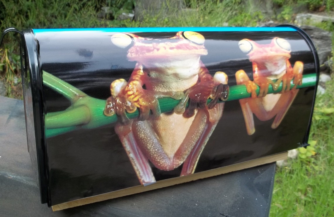 Frogs-mailbox - Etsy