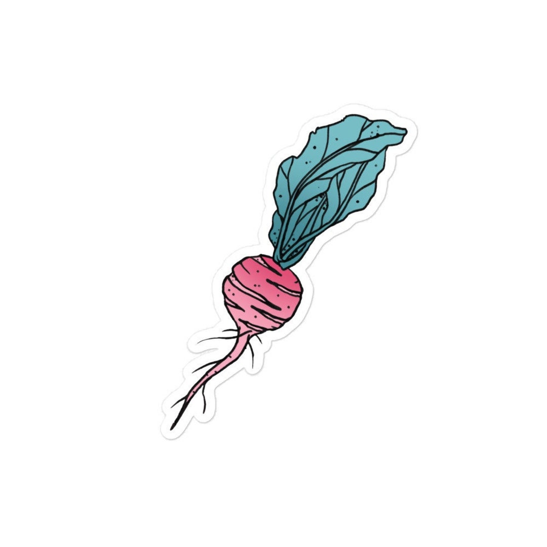 Beet Decal || Vinyl Sticker | Waterproof | Weather Proof | Car Decal ...