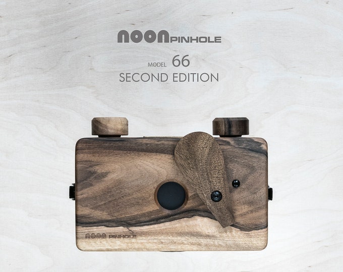Vermeer 6x17 Panoramic Curved Plane Pinhole Camera - Etsy